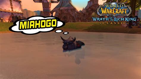 Miiiaahogo DRUIDA FERAL WOTLK CLASSIC SKYFURY YouTube