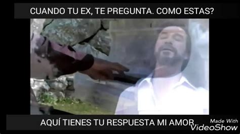 Cuando tu ex te pregunta cómo estás Haras Dadinco