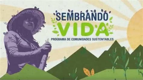 La gente está muy contenta con Sembrando Vida AMLO a reportero
