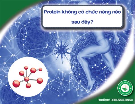 Tìm hiểu cấu trúc bậc 1 của protein là gì và tầm quan trọng trong sinh học