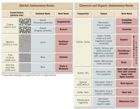 Test Sedimentary Rocks Diagram Quizlet