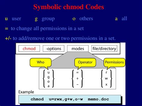 security and file permission ppt download