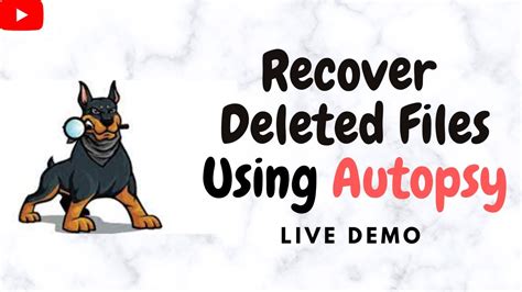 How To Recover Deleted Files Using Autopsy USB Drive Example YouTube