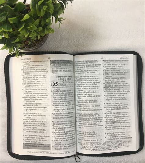 Biblia de Promesas Letra Gigante Forrada Librería Cristiana