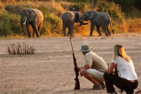 Top Walking Safari Destinations In Africa