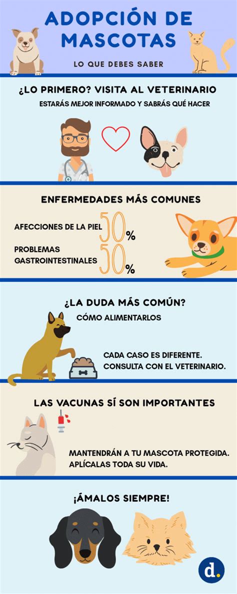 Todo Lo Que Necesitas Saber Sobre Los Requisitos Para Adoptar Una