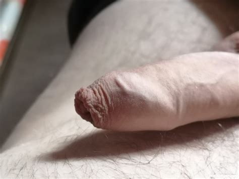 Steifer Vorhautpenis Mit Gut Sichtbarer Eichelkante Kostenlose Penis