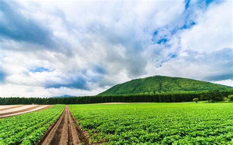 Espacio agrícola qué es factores naturales y humanos