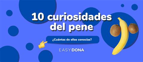 Curiosidades Del Pene Que No Conoc As Easydona