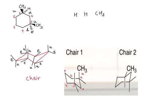 SOLVED Part 3 Re Draw The Third Cyclohexane In The Chair Conformation