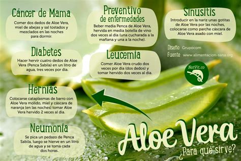 Infografías sobre nutrución elaboradas para clientes de la Agencia