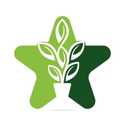 Star flowers pot y plant pot diseño de ilustración vectorial green star