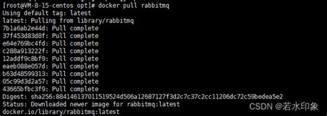 docker安装rabbitmq（配合宝塔） 宝塔安装rabbitmq csdn博客