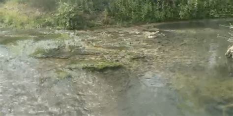 Emergenza Idrica In Sicilia Lacqua Del Fiume Sosio Verdura Finisce In