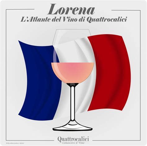 Il Vino Nelle Marche Quattrocalici Le Regioni Del Vino