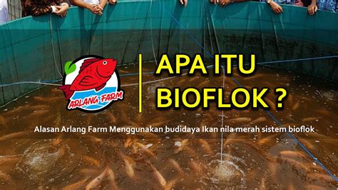 MEMAHAMI METODE BUDIDAYA IKAN SISTEM BIOFLOK SECARA SINGKAT COCOK
