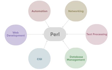 What Is Perl Definitions Strengths Usages Designveloper