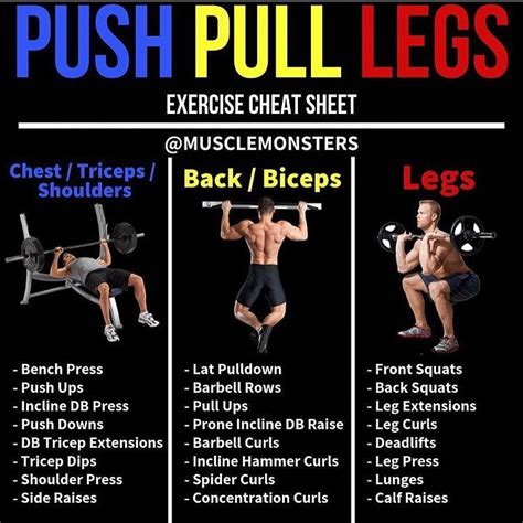 Best Push Pull Legs Workout Plan
