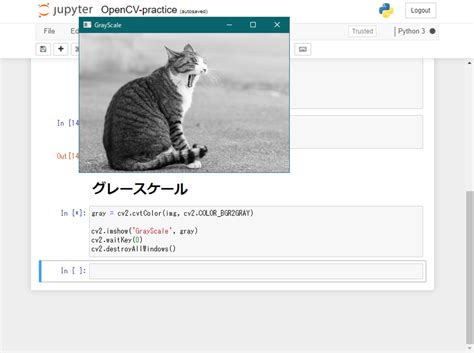 Pythonで画像処理をはじめようOpenCVの使い方を解説Udemy メディア