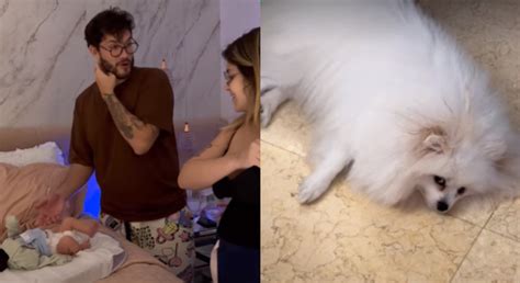 Acho que os cachorros comeram diz Eliezer após perder umbigo da