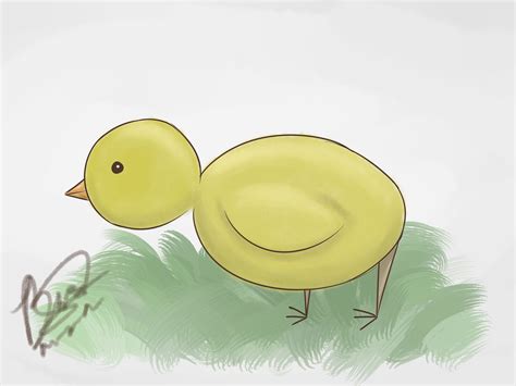 How To Draw A 2D Bird For Beginners 11 Steps With Pictures