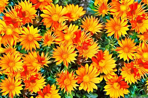 Details 100 Imagen Calendula Colores Abzlocal Mx