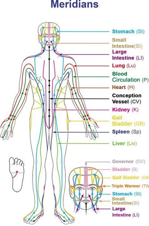 Meridian Acupuncture Acupuncture Points Acupressure Points