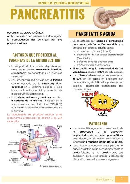 Pancreatitis aguda y crónica medi fer uDocz