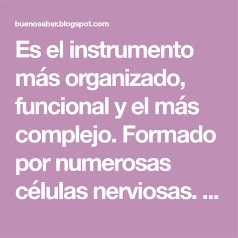 Es el instrumento más organizado funcional y el más complejo Formado