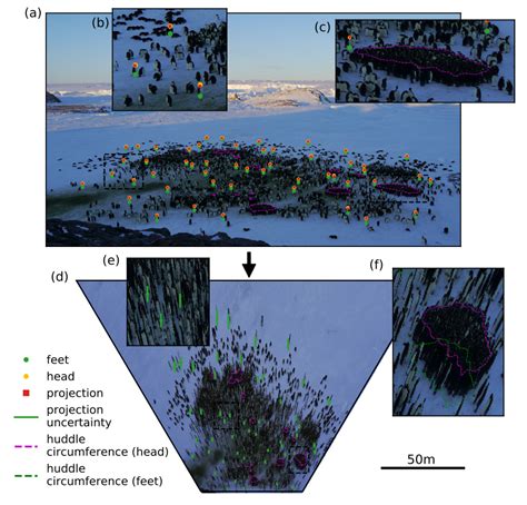 cameratransform a python package for perspective corrections and image mapping biophysics group