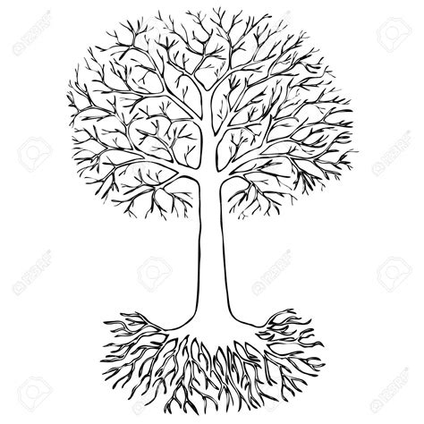 Dibujo De Árbol Con Raices Para Colorear Dibujos Para Colorear