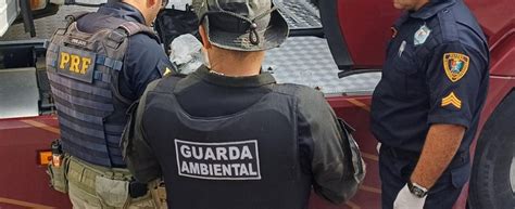 PRF promove campanha para a preservação ambiental Polícia Rodoviária