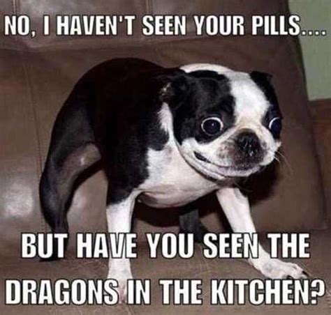 55 Hilarious Memes Can T Stop Laughing DailyFunnyQuote