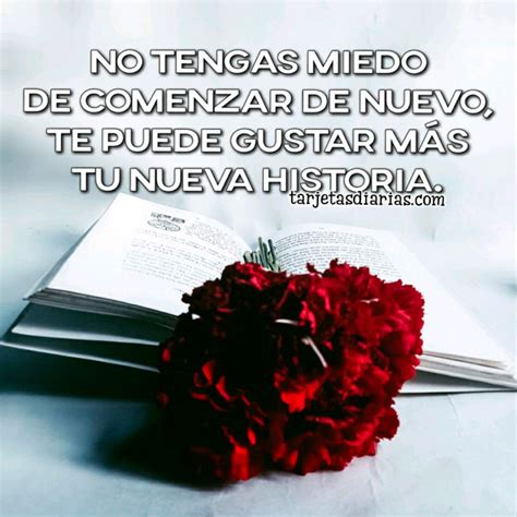 No Tengas Miedo De Comenzar De Nuevo Te Puede Gustar M S Tu Nueva
