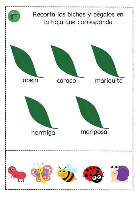 Ejercicio manipulativo de asociación palabra imagen Cada objeto a su