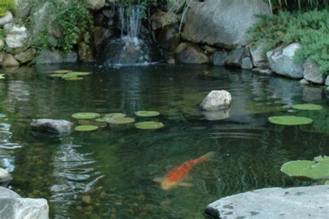 How To Build A Koi Pond Final Atelier Yuwa Ciao Jp