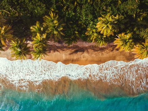 Top The Best Beaches In Puerto Rico Civitatis