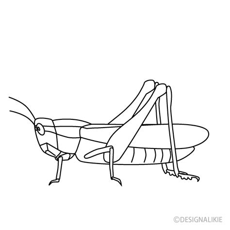 Locust Black And White Free Png Imageillustoon