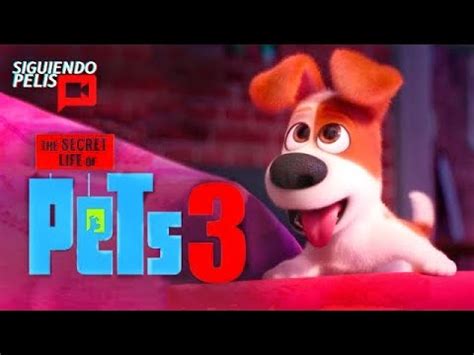 LA VIDA SECRETA DE TUS MASCOTAS 3 LA VENGANZA DEL COCO RESUMEN EN