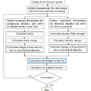 Schematic Representation Of Implemented Bone Remodeling Algorithm