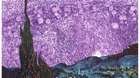 Histology EmbryologyEpithelial tissue 哔哩哔哩