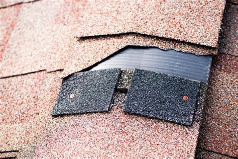 How To Fix A Leaking Roof Roof Leak Repair Guide Modernize
