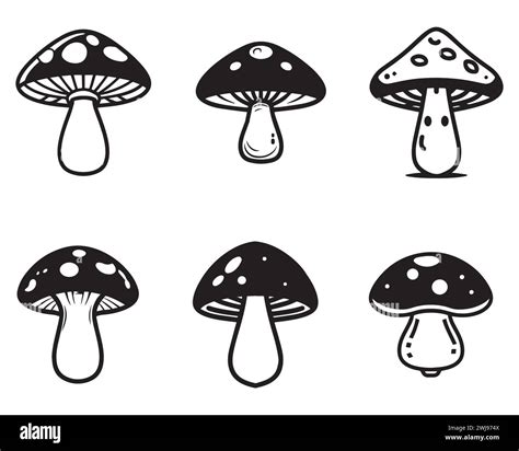 SET Of Mushrooms Outline Vector Icon On White Background Illustration