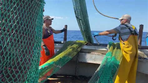 Pesca Con Reti A Strascico