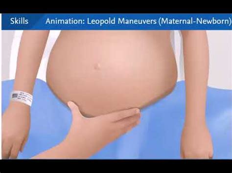 Leopold manevrası nedir Leopold manevraları nasıl yapılır YouTube