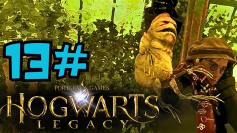 Hogwarts Legacy Gameplay PTBR AULA DE HERBOLOGIA 13 YouTube