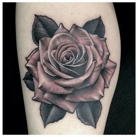 Sombreada Rosa Desenho Tattoo Aulas De Desenho Para Crian As Desenho