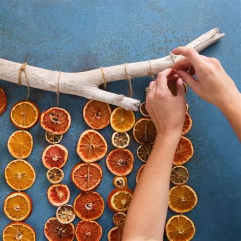 42 Best Fresh Dried Orange Decorations For Christmas A Piece Of Rainbow