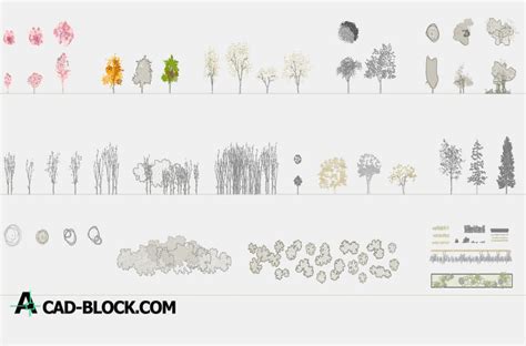 CAD Trees Elevation And Plant 2D DWG Free CAD Blocks