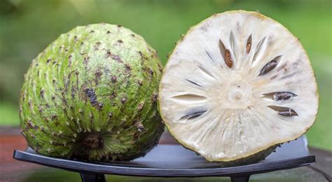 Frutas Nativas Do Cerrado Para Voc Recordar Da Inf Ncia E Se